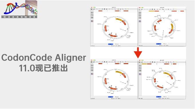 CodonCode Aligner 11.0现已推出 - 知乎