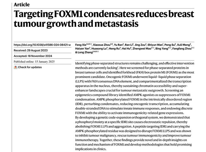 文献分享 | Nature：靶向FOXM1凝聚体可减少乳腺肿瘤的生长和转移 - 知乎