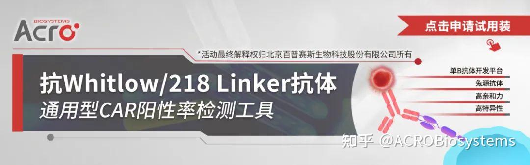 兔抗Whitlow/218 Linker流式抗体高效助力CAR检测 - 知乎