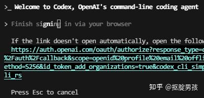 试试 OpenAI 刚发布的最强编程模型 "GPT-5-Codex"？ - 知乎