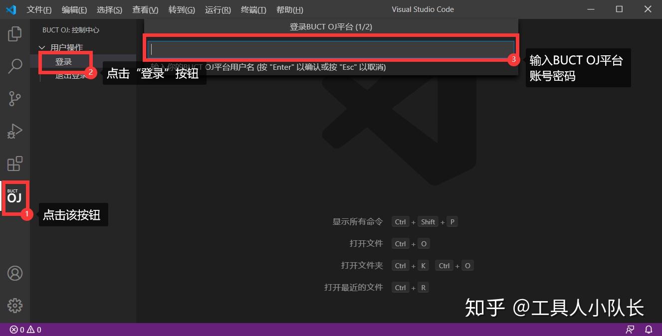 BUCT OJ 插件安装、配置教程 - 知乎