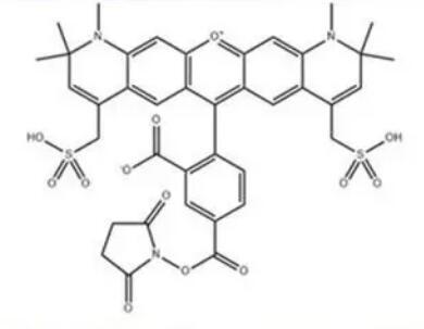 295348-87-7，AF594 NHS可以用于检测和分选特定类型的细胞 - 知乎