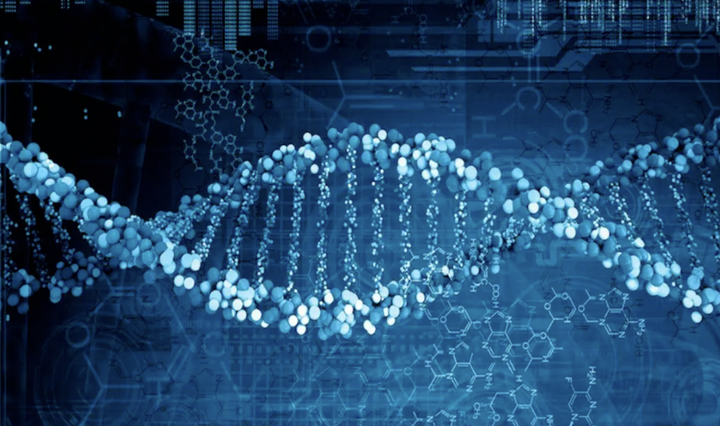 一种多用途深度学习方法，用于CITE-seq和单细胞RNA-seq数据与细胞表面蛋白预测和插补的集成 - 知乎