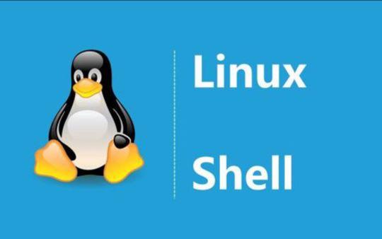 Shell语法揭秘：深入探讨常见Linux Shell之间的语法转换 - 知乎