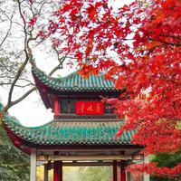 橡胶的回弹性及测试标准 - 知乎