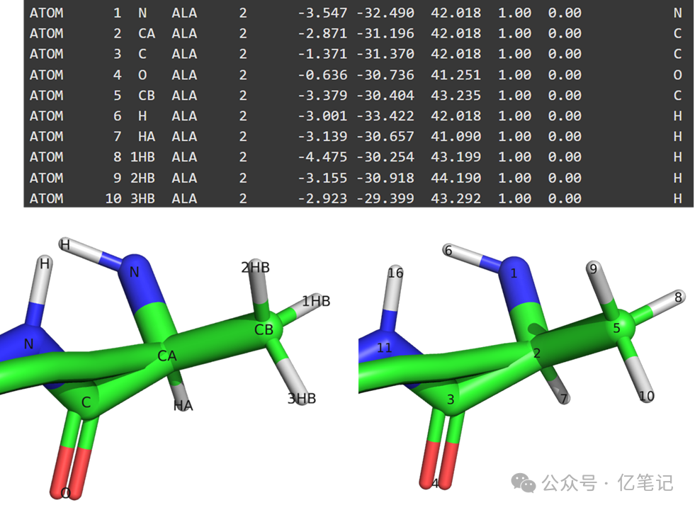 Pymol|Pymol中Atom Identifiers中的rank/ID/index的异同 - 知乎