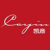 Cayin还是斯巴克？傻傻分不清楚？我们的品牌历史——致新粉 - 知乎