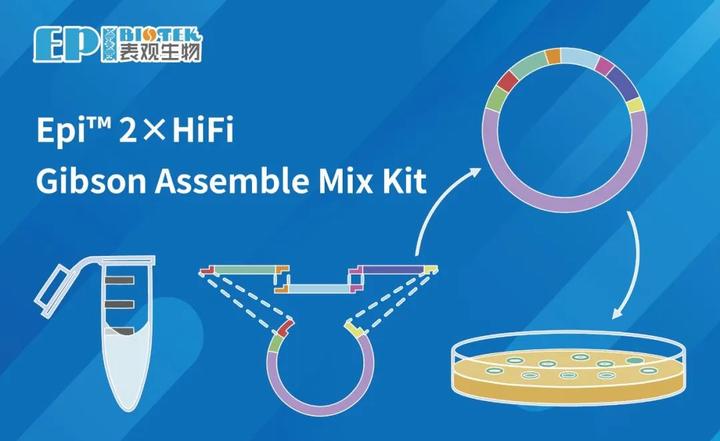 Gibson无缝连接试剂盒发布啦！Epi™ 2×HiFi Gibson Assemble Mix Kit - 知乎