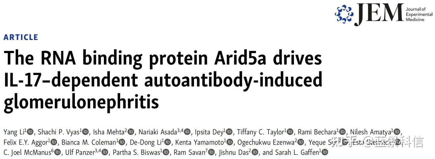 RBP研究技术RIP-seq+Polysome profiling - 知乎