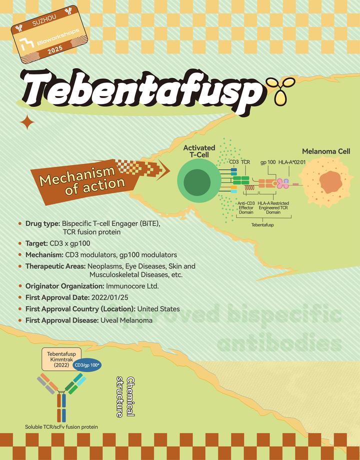 全球已上市双抗图鉴Vol.05 | Tebentafusp - 知乎