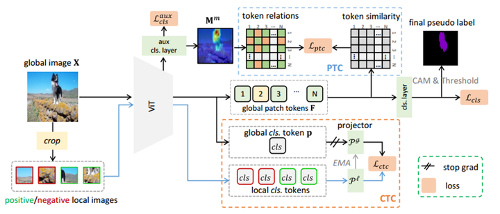 Token Contrast for Weakly-Supervised Semantic Segmentation —— CVPR2023 - 知乎