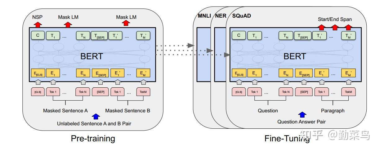 基于Transformer的双向编码器表示BERT - 知乎
