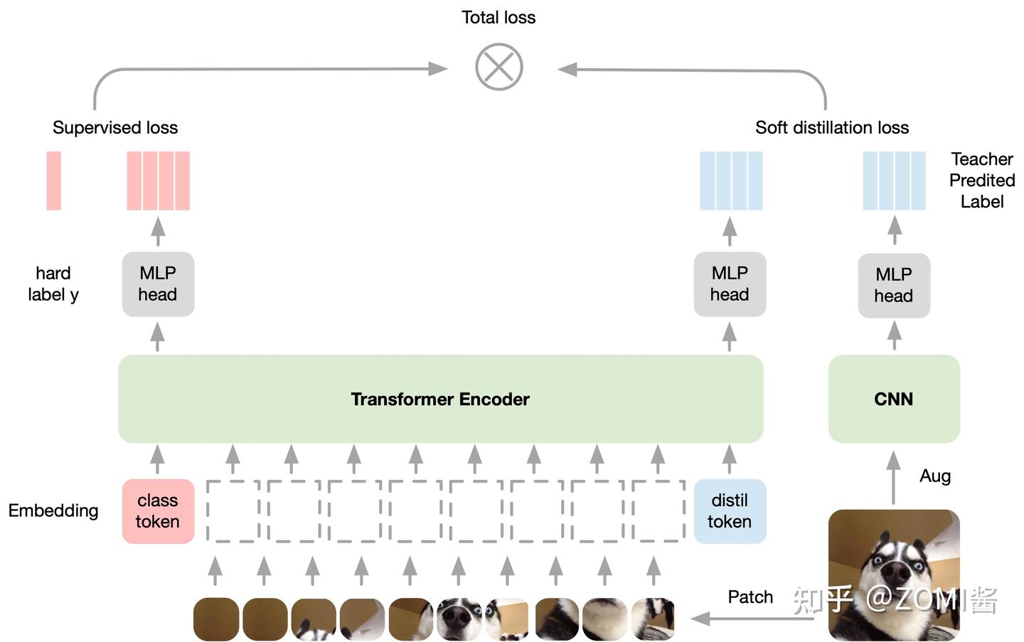 DeiT：注意力Attention也能蒸馏 - 知乎
