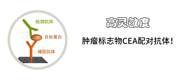 重点推荐丨高灵敏度肿瘤标志物CEA配对抗体！ - 知乎