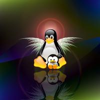 Linux 内存管理新特性 - Memory folios 解读 - 知乎