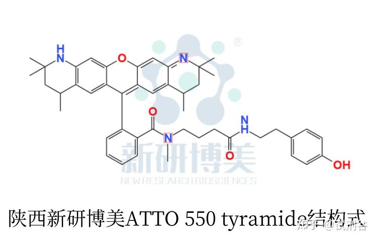 ATTO 550-Tyramide，ATTO550 酪胺是一种荧光标记物 - 知乎