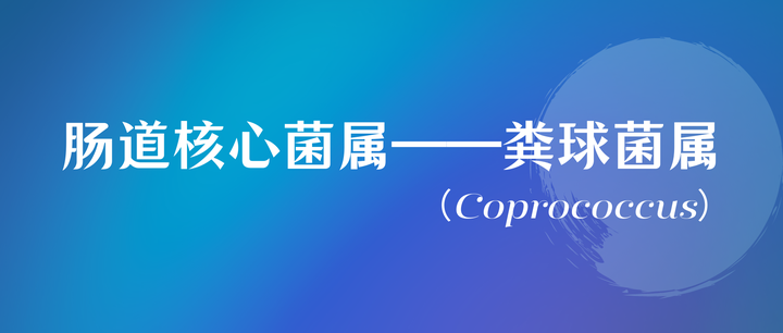 肠道核心菌属-粪球菌属（Coprococcus） - 知乎