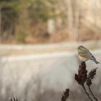 mamba: parallel scan - 知乎