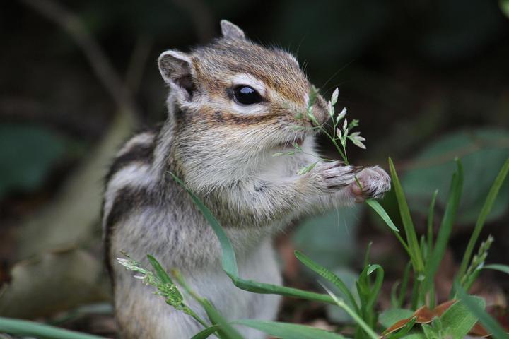 DataFrame.set_index() - 知乎