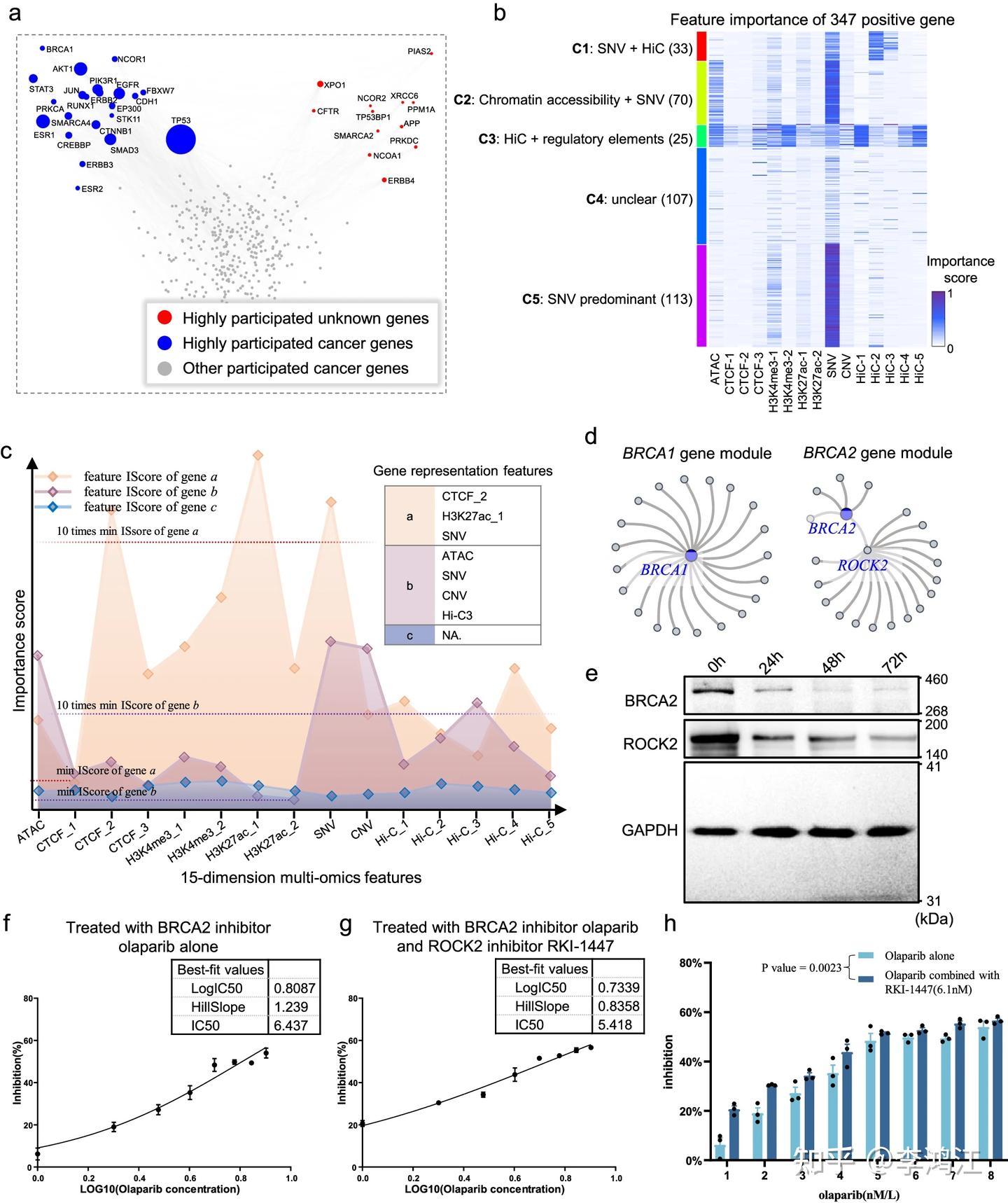 文献阅读（1)：CGMega 具有用于癌症基因模块解剖的注意力机制的可解释神经网络框架 - 知乎