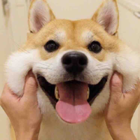 Python用Clang解析C++代码 - 知乎