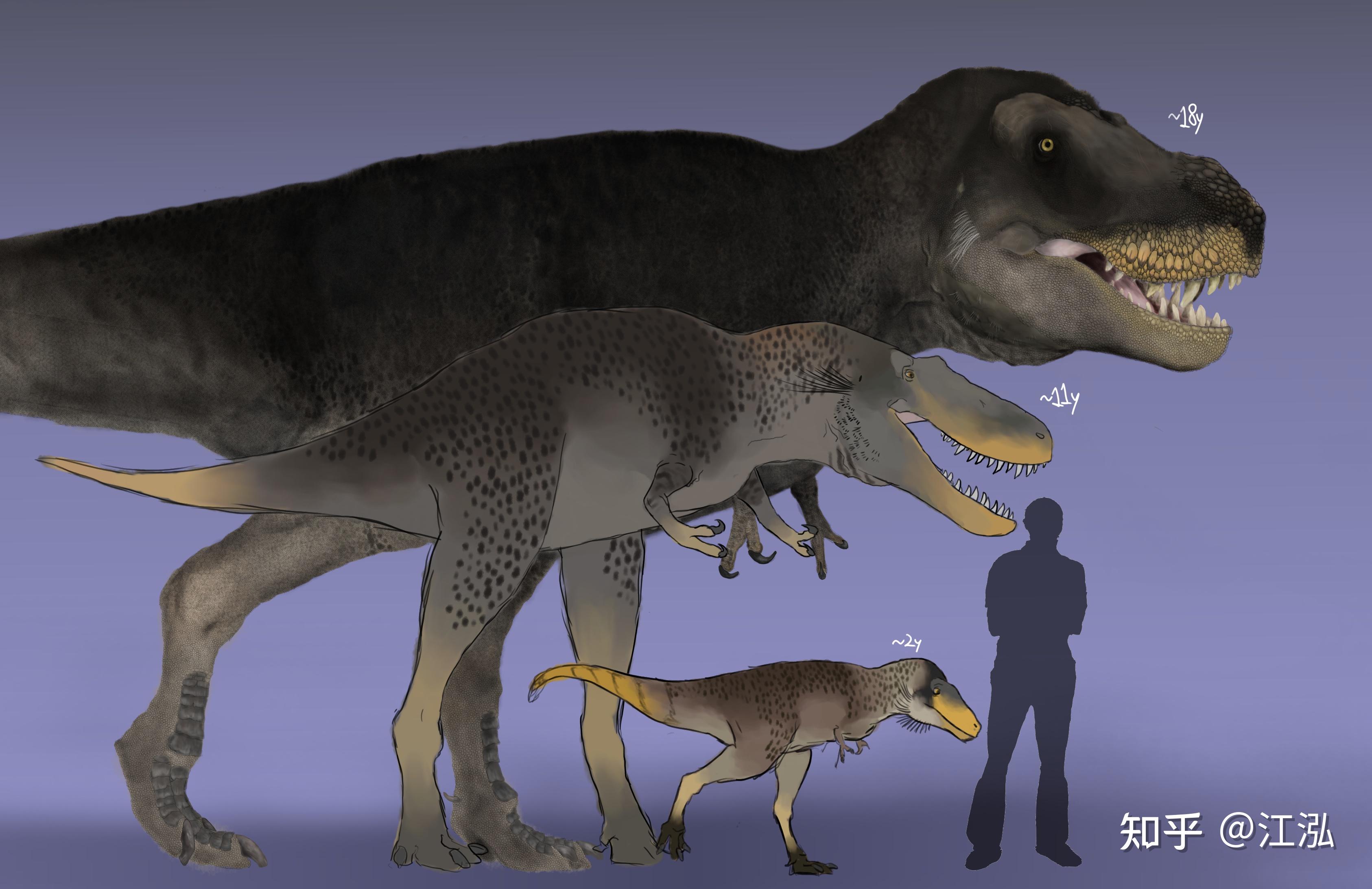 25亿只！原来地球上有这么多霸王龙！ - 知乎