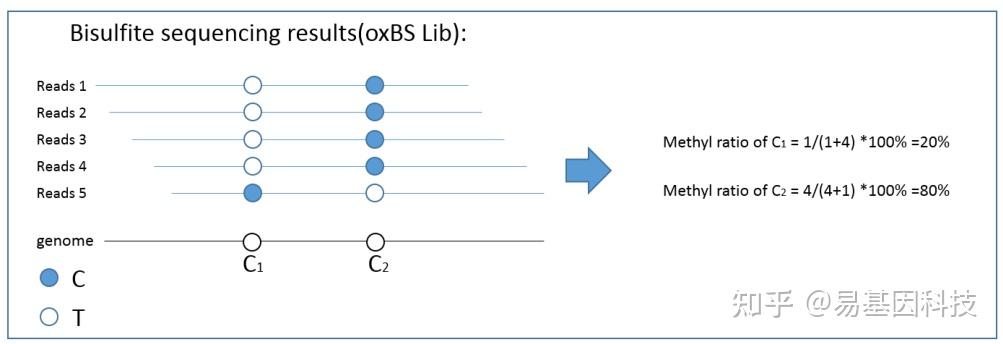 干货：手把手教你做RNA m5C甲基化测序分析（RNA-BS） - 知乎