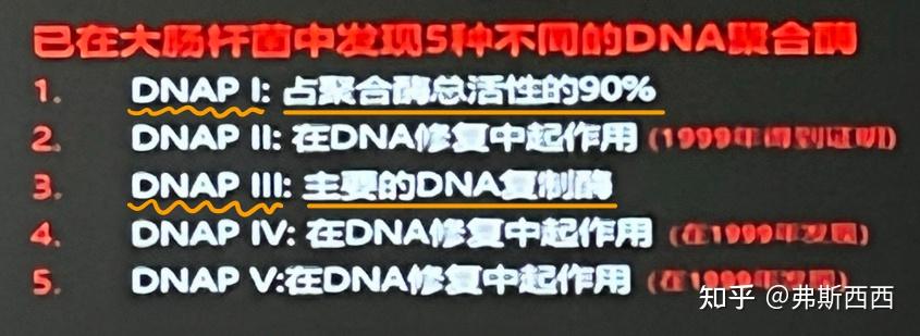 生化——DNA的复制及损伤修复整理 - 知乎