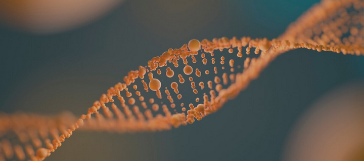 NMN强化NK细胞免疫反应，抑制肿瘤生长 - 知乎