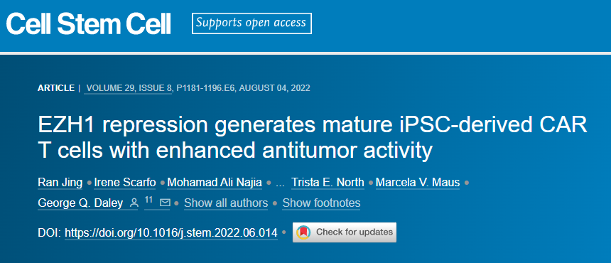 iPSC CAR-T疗效之痛何解？酶抑制成为突破途径 - 知乎