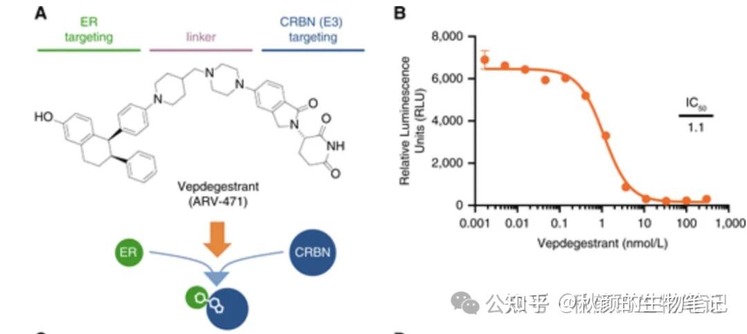 PROTAC| ARV-471：最有望率先上市的 PROTAC 药物 - 知乎