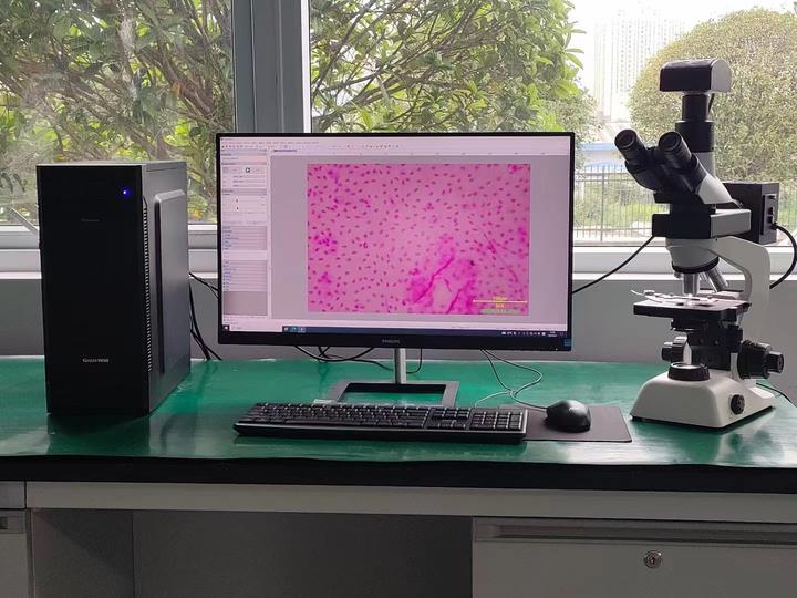 体视显微镜和光学显微镜的区别有哪些？ - 知乎