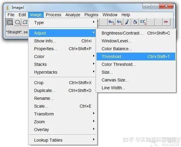 干货分享 | 应用 imageJ 对荧光图片进行半定量分析 ，附软件 - 知乎