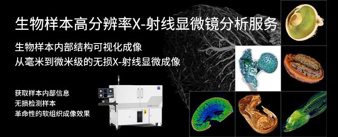 高分辨X射线显微镜（XRM）分析服务 - 知乎