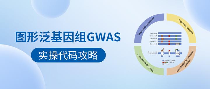 基于图形泛基因组的群体GWAS实操代码《一》：基于vcf文件构建图形泛基因组 - 知乎