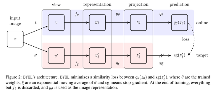 [论文笔记]——BYOL：无需负样本就可以做对比自监督学习(DeepMind) - 知乎
