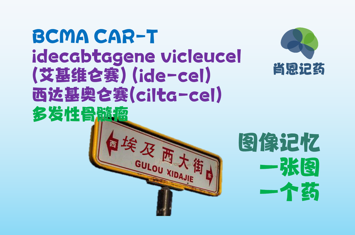记住FDA生物药 | 2款BCMA CAR-T | idecabtagene vicleucel，西达基奥仑赛 | 多发性骨髓瘤 - 知乎