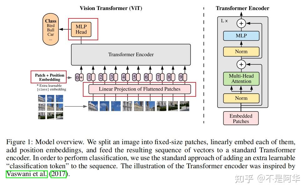 Vision Transformer(ViT)及其代码实现 - 知乎