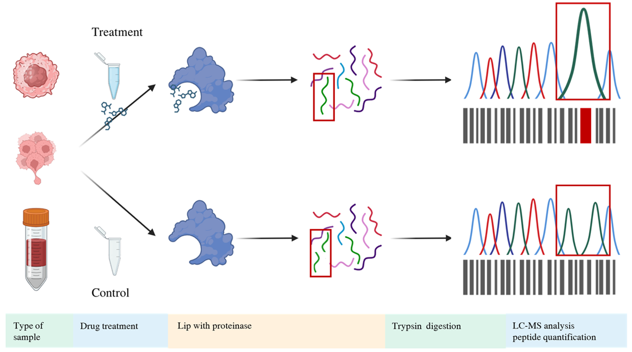 LiP-MS：限制性酶解-质谱分析技术服务 - 知乎