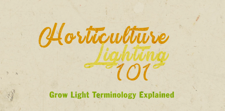 PPF、PPFD、光效、光谱，这些植物照明光学术语你都知道吗？ - 知乎