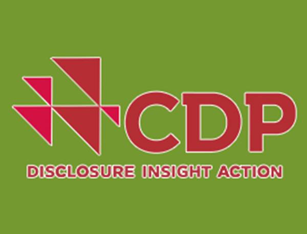 CDP认证主要包含的四个内容 - 知乎