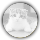 删除simatic shell文件夹 - 知乎