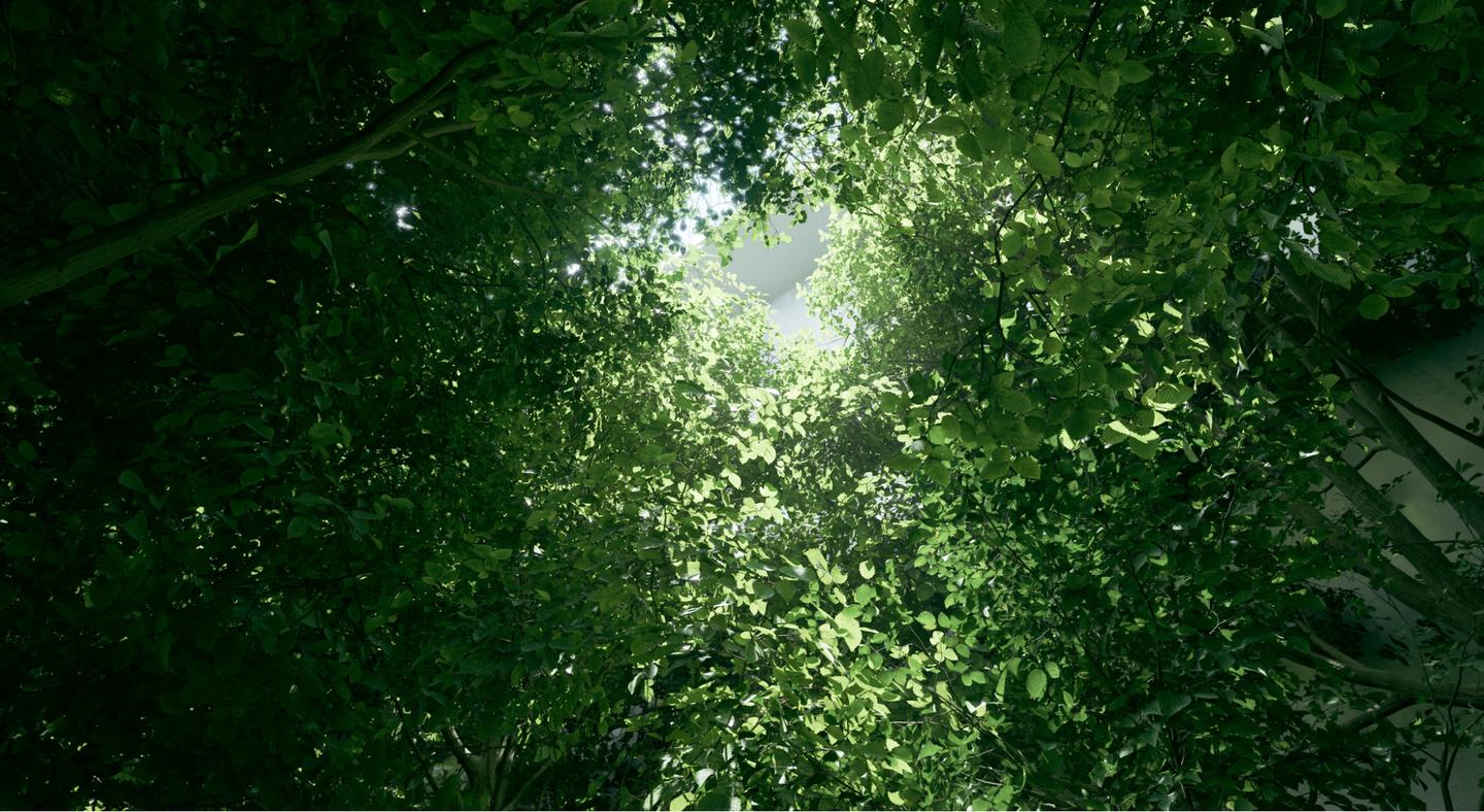 UE5.1 Two Side Foliage材质改进及优化 - 知乎