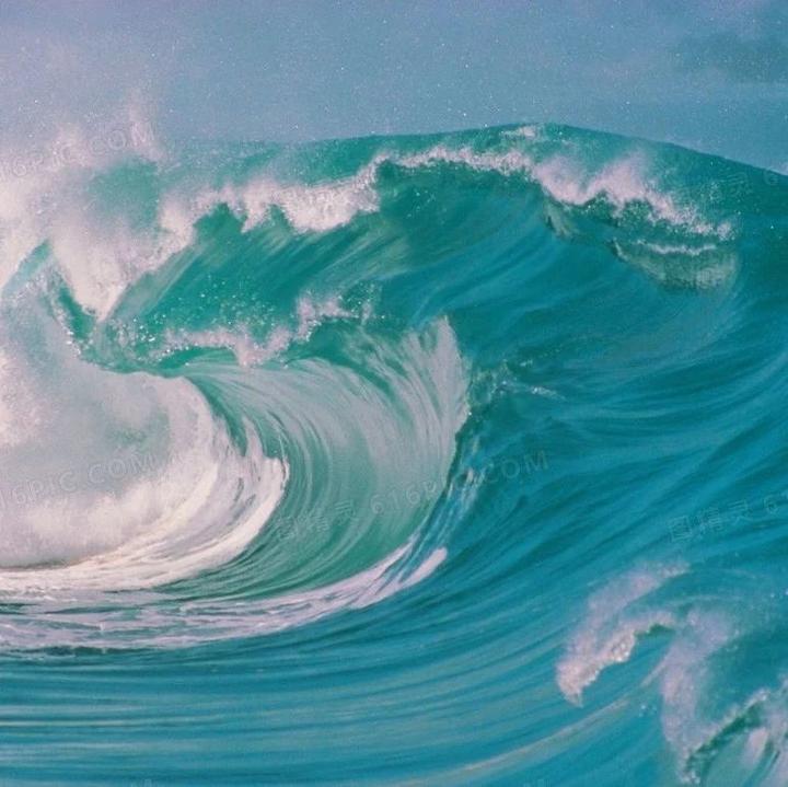 798的秦先卷带动后卷，659的MG5后浪拍翻前浪！ - 知乎