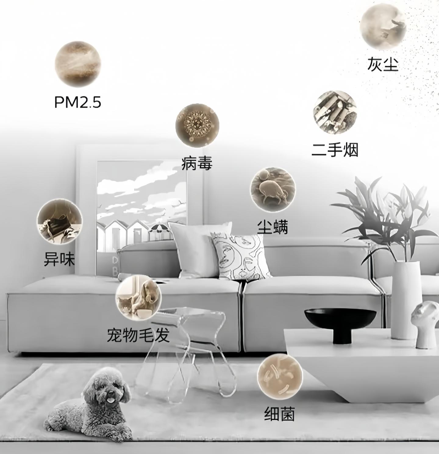 2025年618高端空气净化器如何选购？盘点热门空净品牌型号 IAM M9Pro、352 Z120、霍尼韦尔H-max究竟哪款性能更出色、维护成本更低？哪款更值得入手？ - 知乎