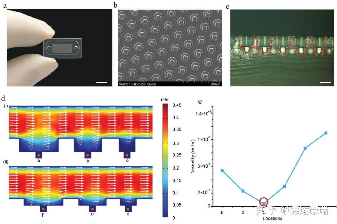解除“背景噪音”烦恼，Well-paired-seq高通量单细胞测序技术文章发表，火速“出圈” - 知乎