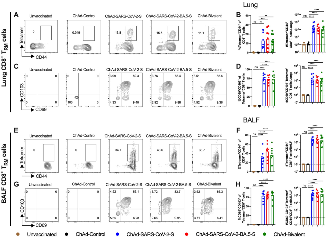 国内首款鼻喷新冠疫苗获批紧急使用，通过鼻腔喷雾方式接种可在呼吸道形成第一道免疫屏障，哪些信息值得关注？ - 知乎