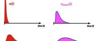什么是动脉输入函数(AIF)，为什么需要测量它? - 知乎