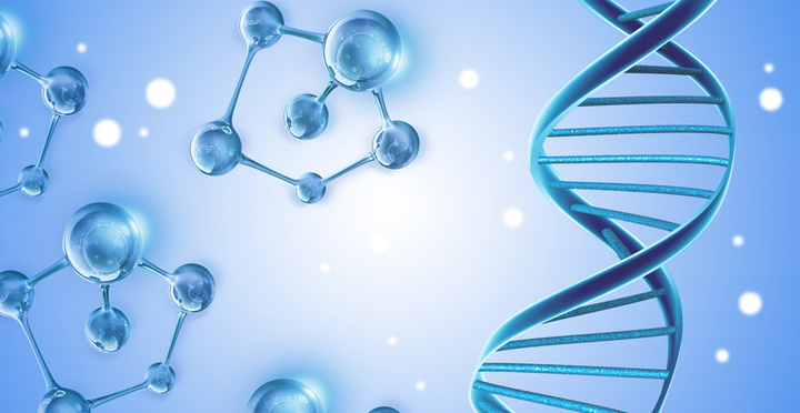 BODIPY TR NH2，2183473-18-7用于荧光标记和生物成像 - 知乎