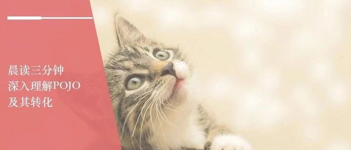 三分钟掌握POJO及其转换——PO、DO、DTO、VO - 知乎